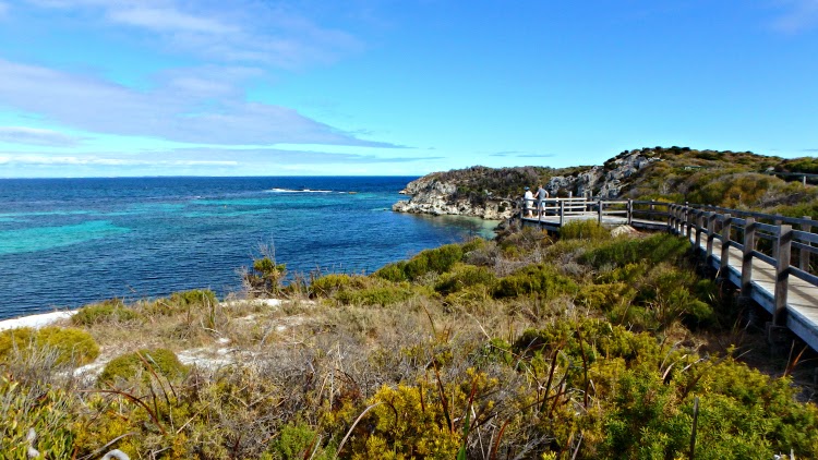 Escaping to Rottnest Island. - Lux Life London